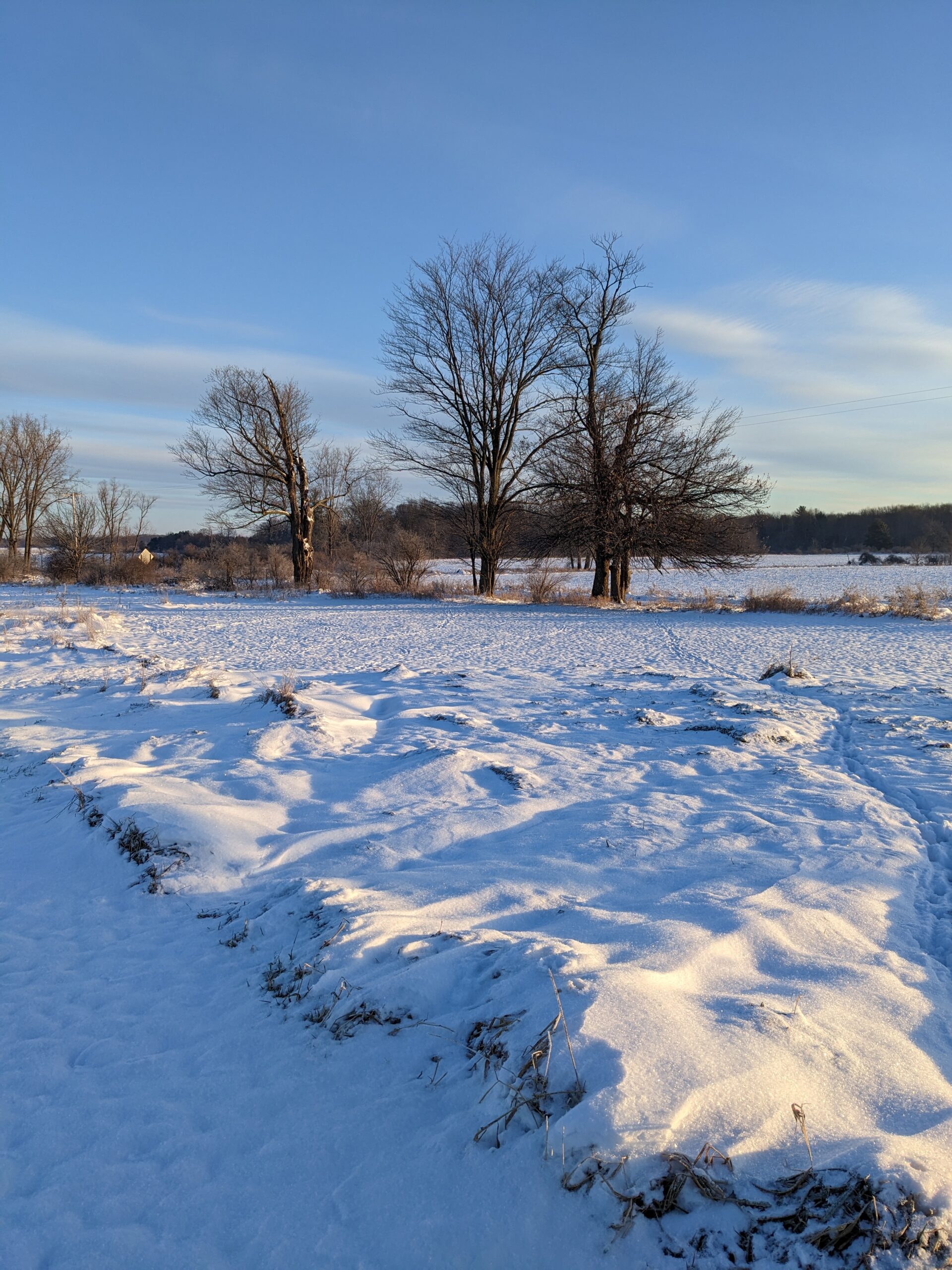 Reflections on Winter Past – Sundance Rescue & Recovery